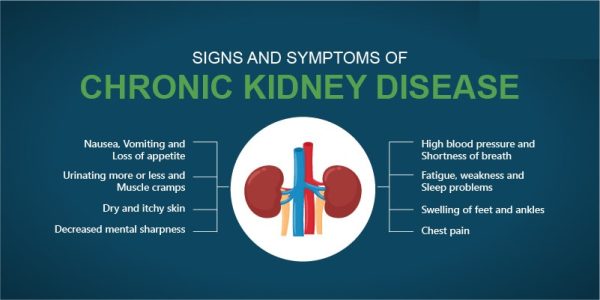 Chronic Kidney Disease; Symptoms, causes and diagnosis - آزمایشگاه تشخیص طبی و تخصصی پیوند